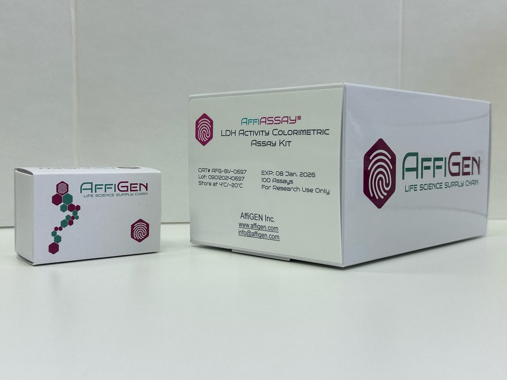 AffiASSAY® LDH Activity Assay Kit | AffiGEN